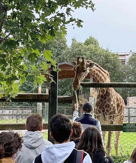 Home - Parco Faunistico Le Cornelle